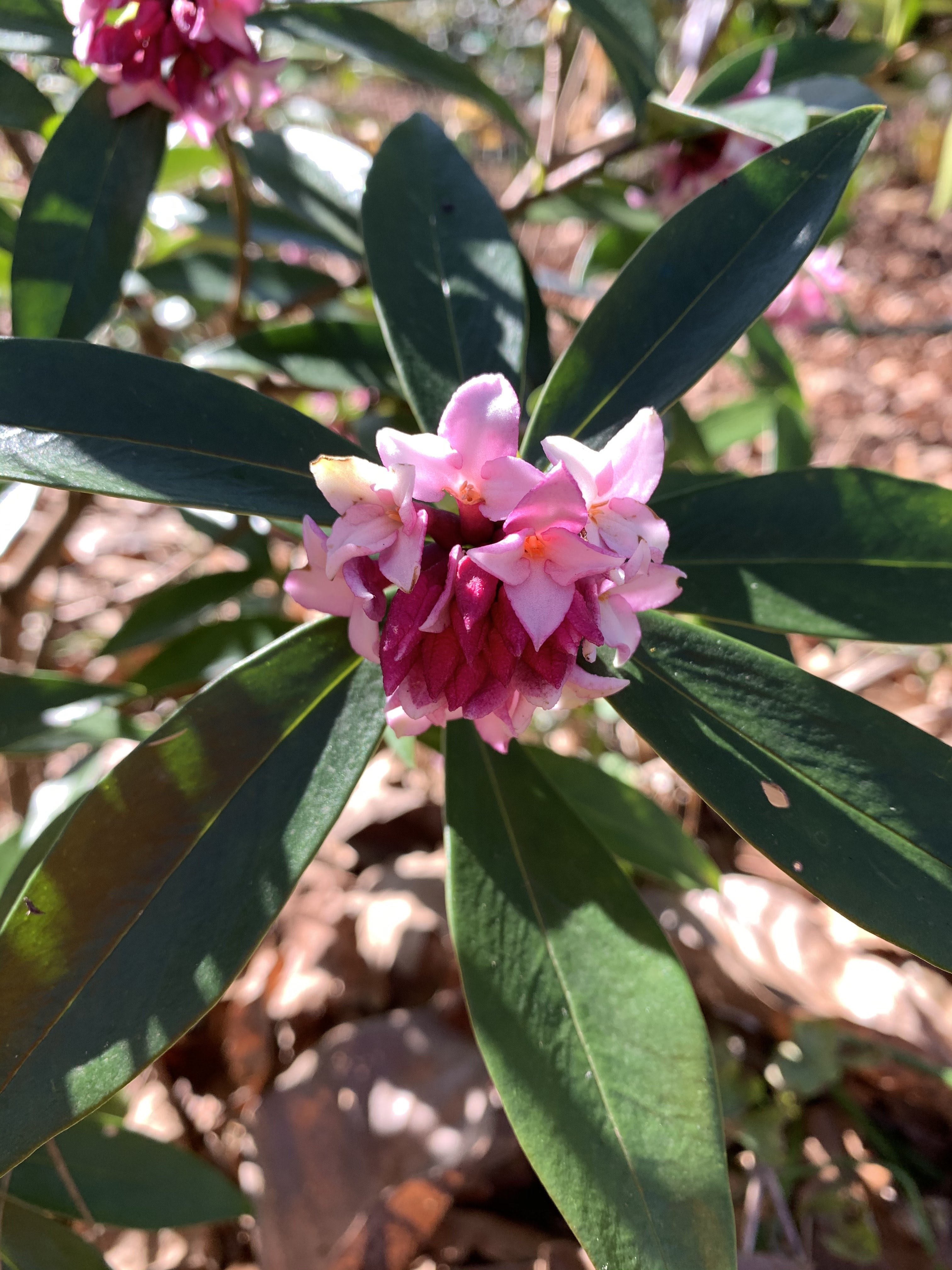 jannimary: Friday Fun Day