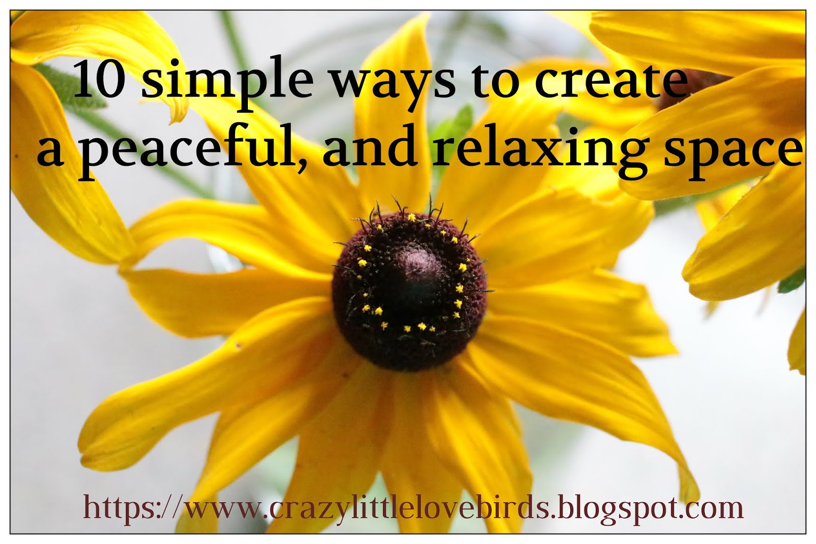 Crazylittlelovebirds: 10 Simple ways to create a peaceful, and relaxing ...