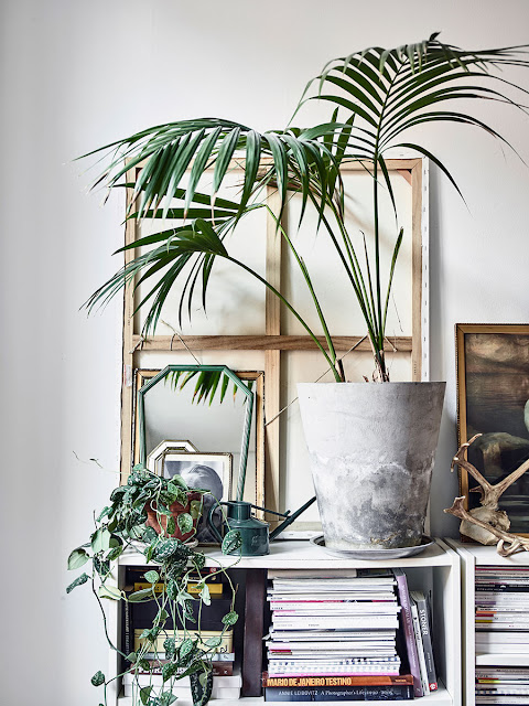 The Gorgeous Home of Interior Designer Amelia Widell