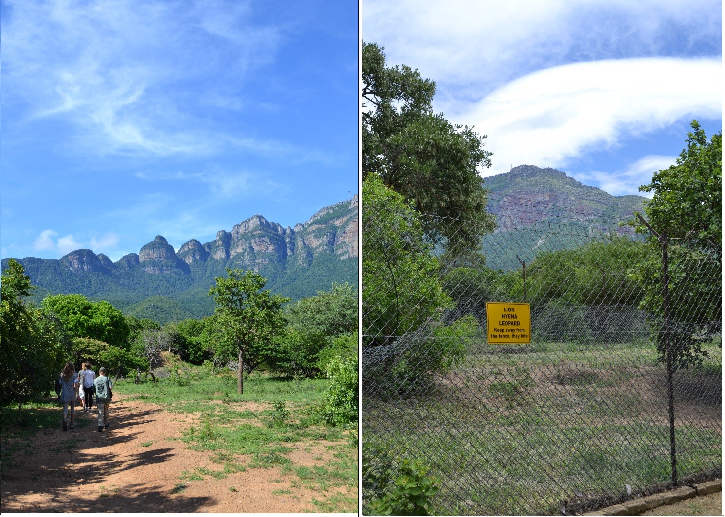Harjoittelu Moholoholo Wildlife Rehabilitation keskuksessa Etelä-Afrikassa