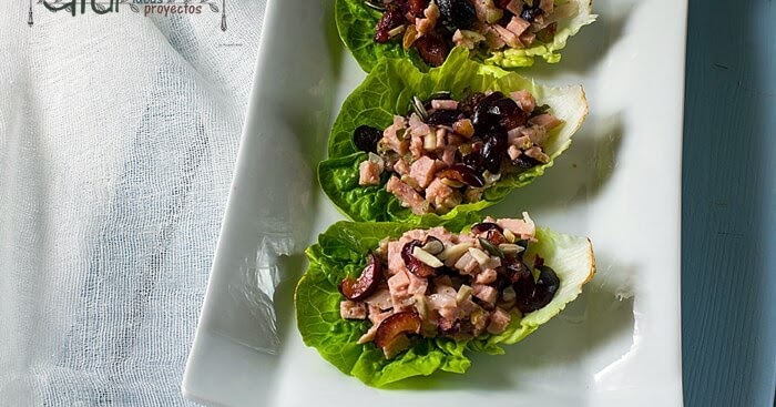 SSAM DE CARNE EN CONSERVA LA LINEA - Mil ideas, mil proyectos