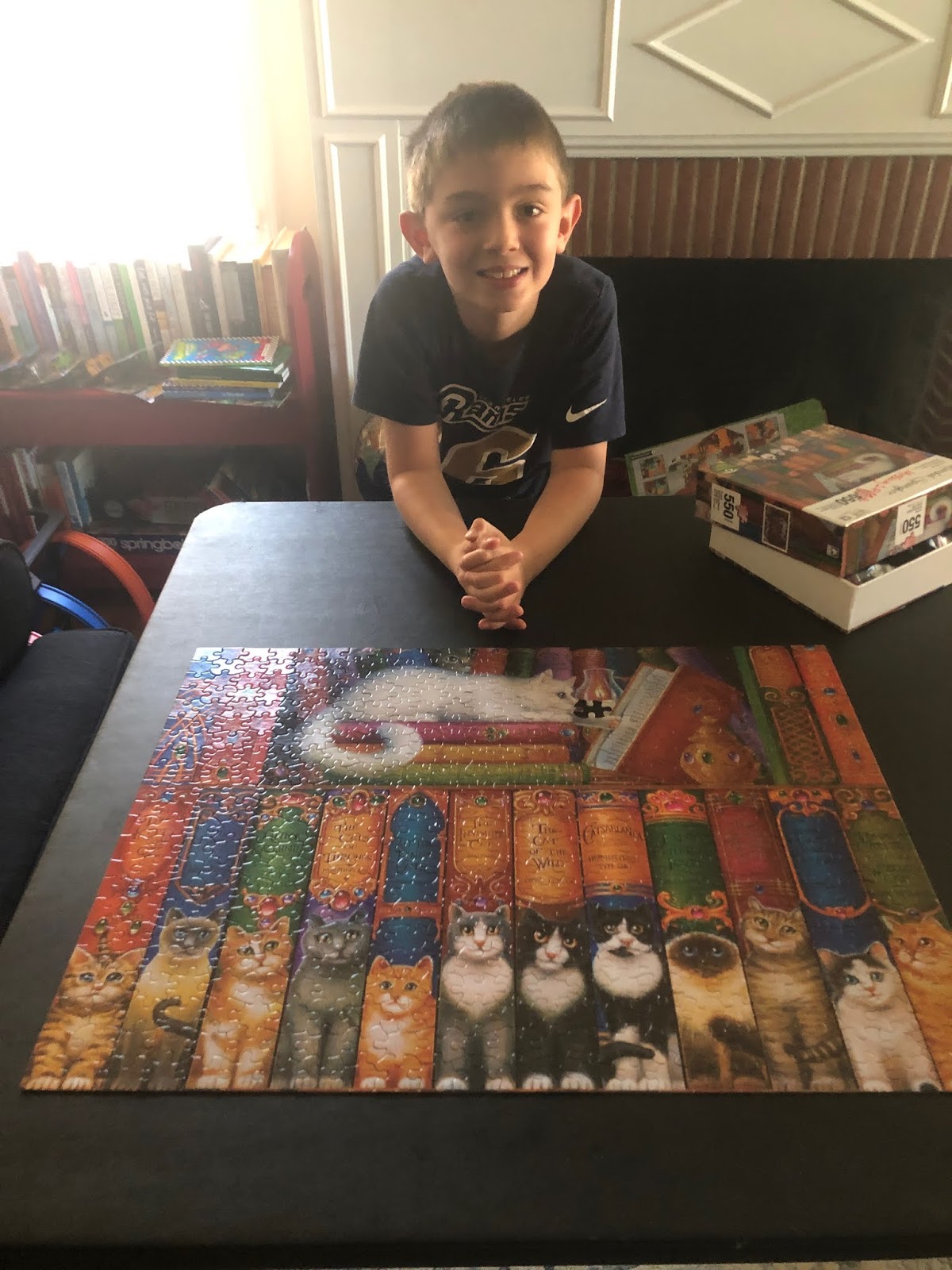 Landon and Ellens Puzz~Og {Puzzle Blog}: Karmin International "Cat ...