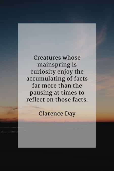 60 Curiosity quotes that'll help you achieve great things