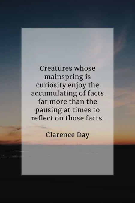 60 Curiosity quotes that'll help you achieve great things