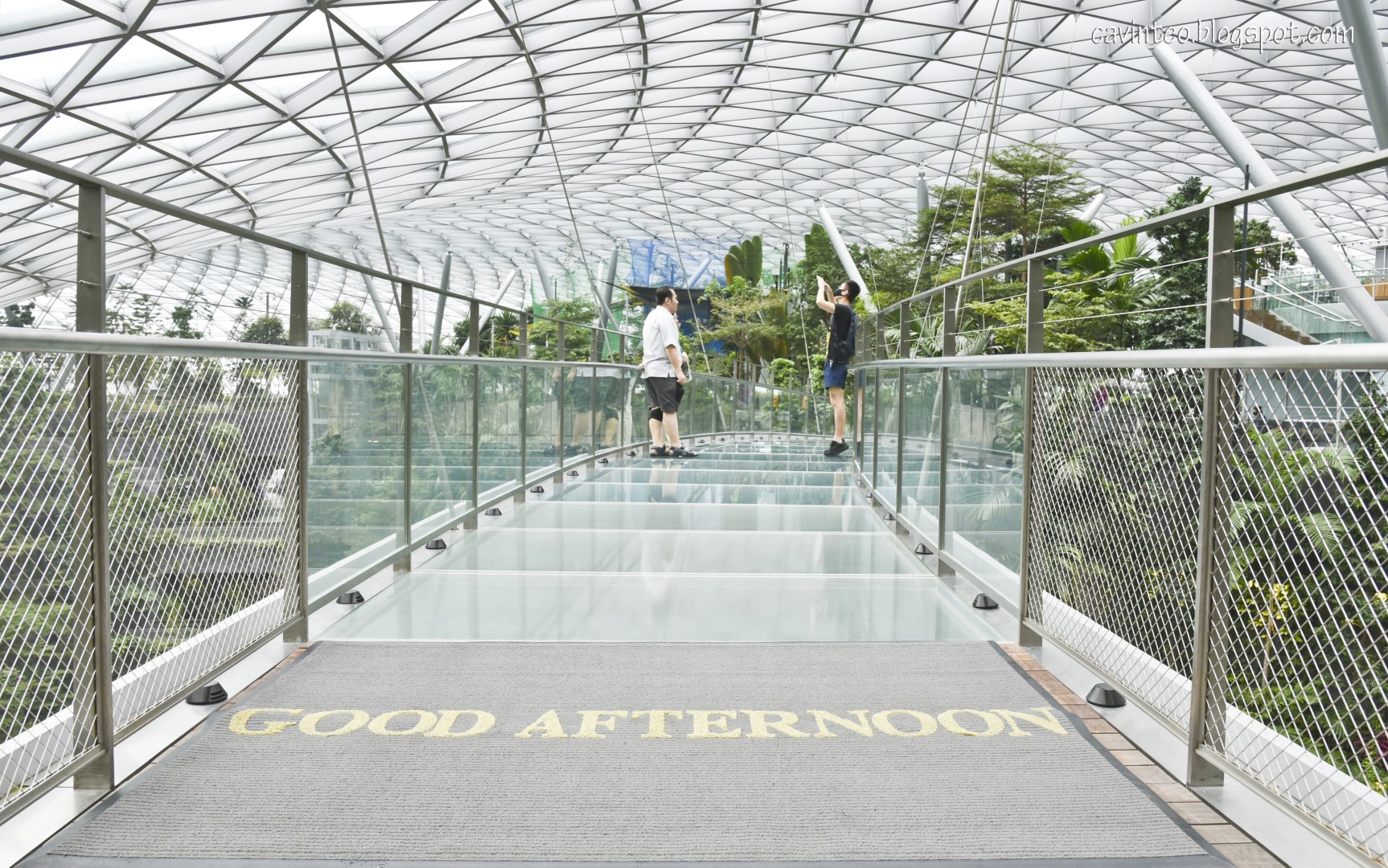 Entree Kibbles: The Canopy Bridge @ Jewel Changi Airport [Singapore] # ...