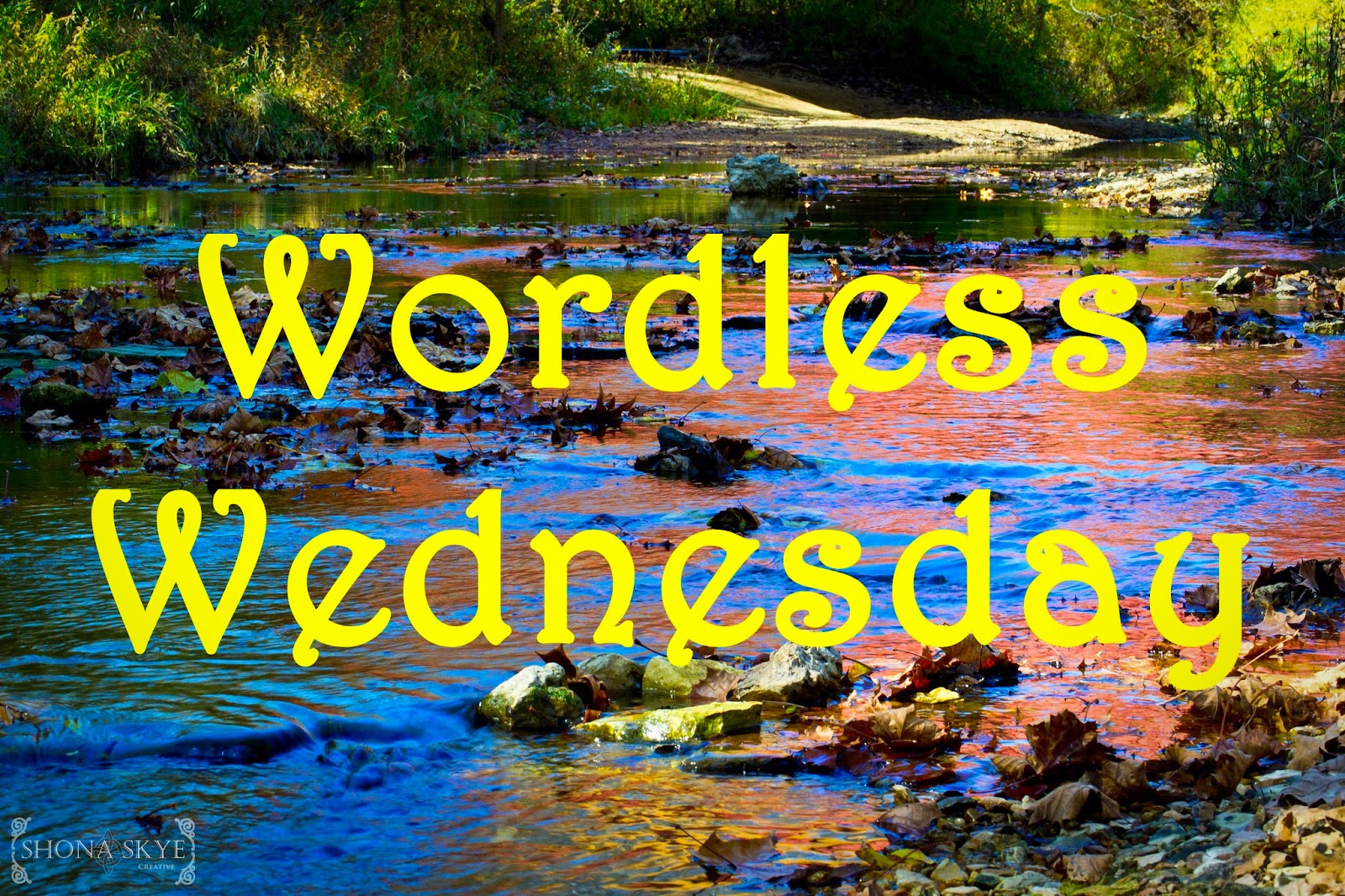 Wordless Wednesday Shona Skye Creative Photography