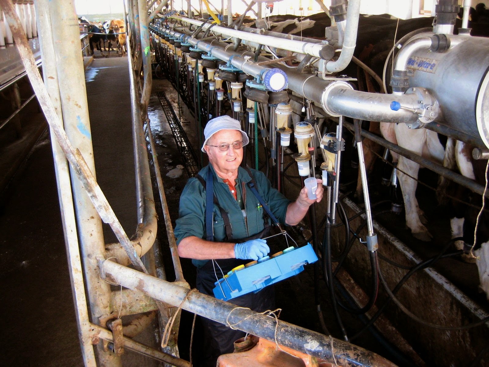 Woolshed 1: Agricultural history in New Zealand. Herd testers. Peter ...