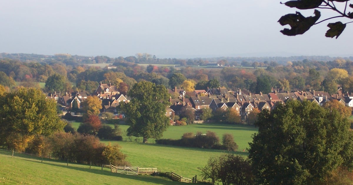 Nutfield Conservation Society: Surrey Hills AONB Boundary Review