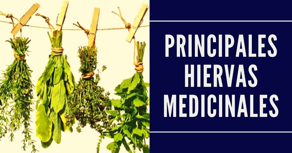 Principales hiervas medicinales