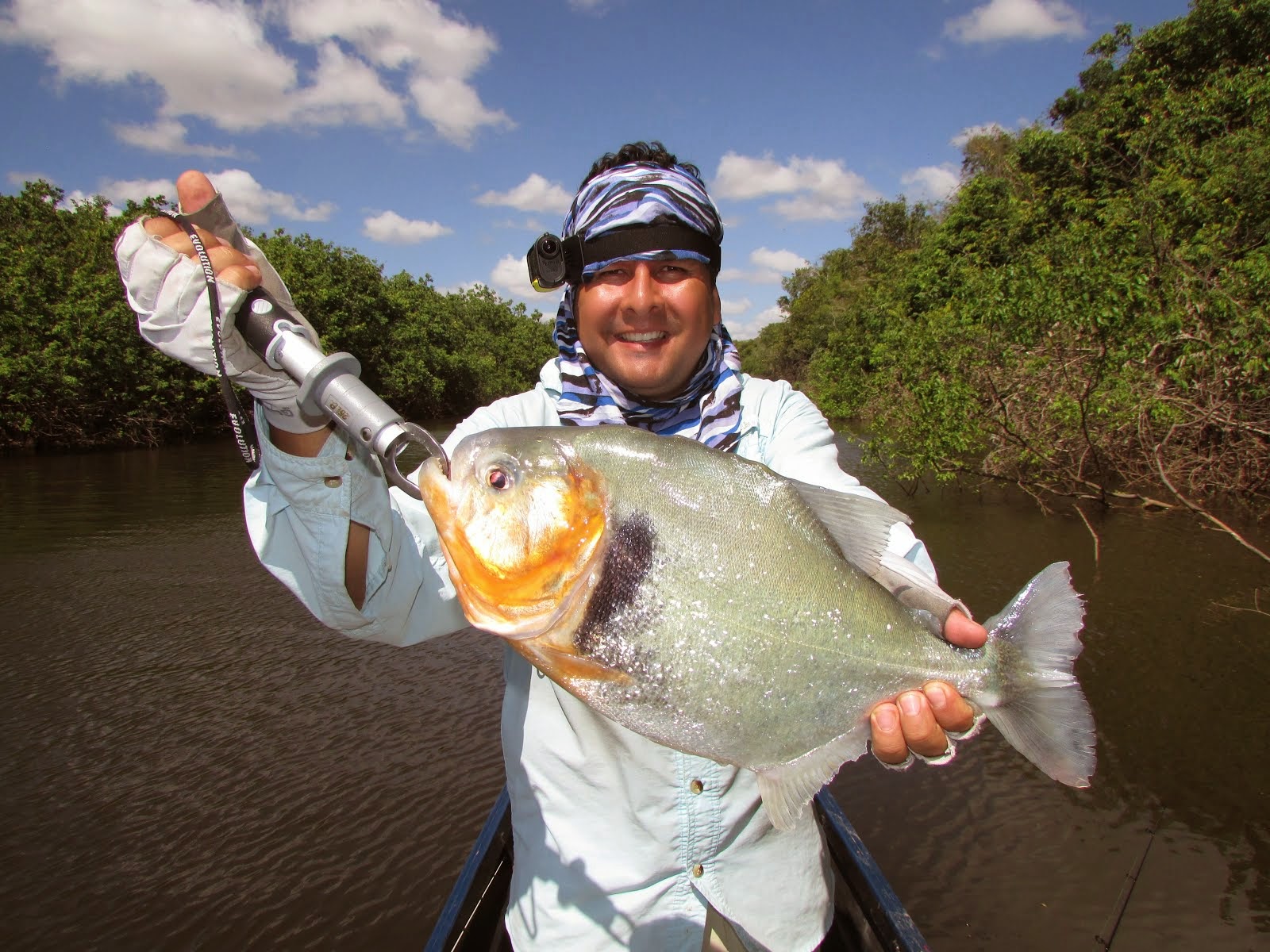 La Pesca Deportiva en Colombia Recreational Fishing: Pesca de Cachama o ...