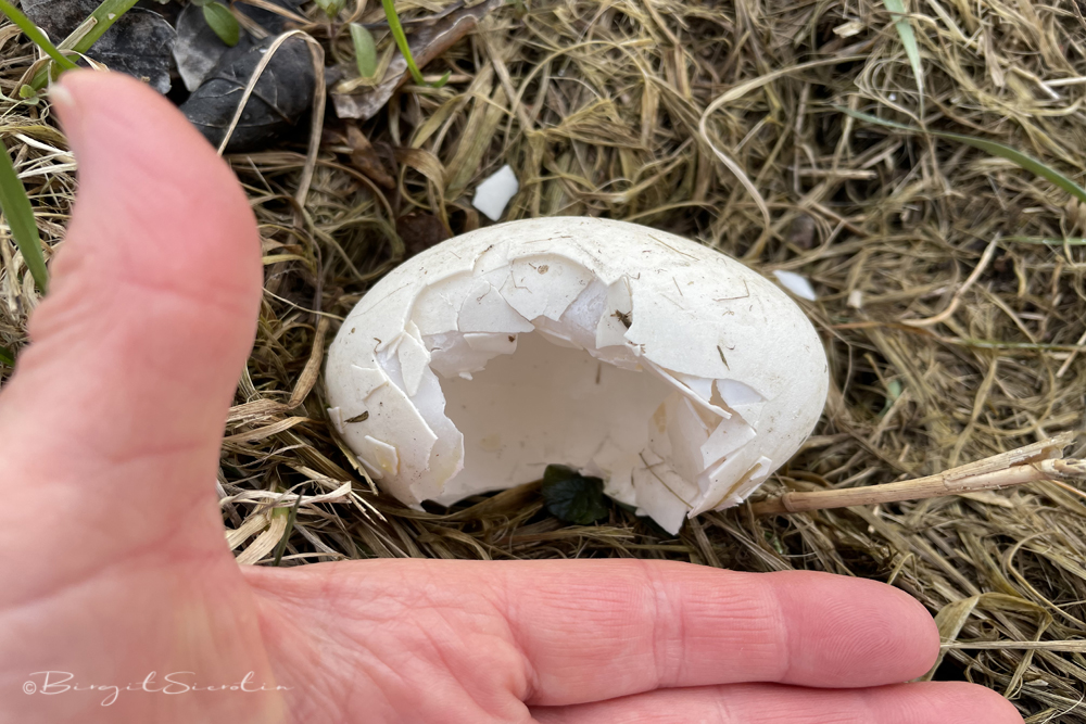 Der Frühling ist angekommen