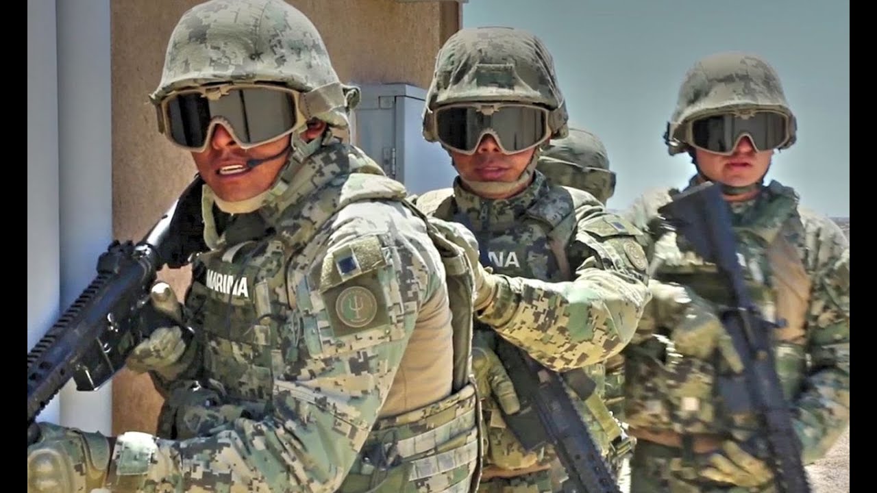 ~ Innovación y Defensa MX