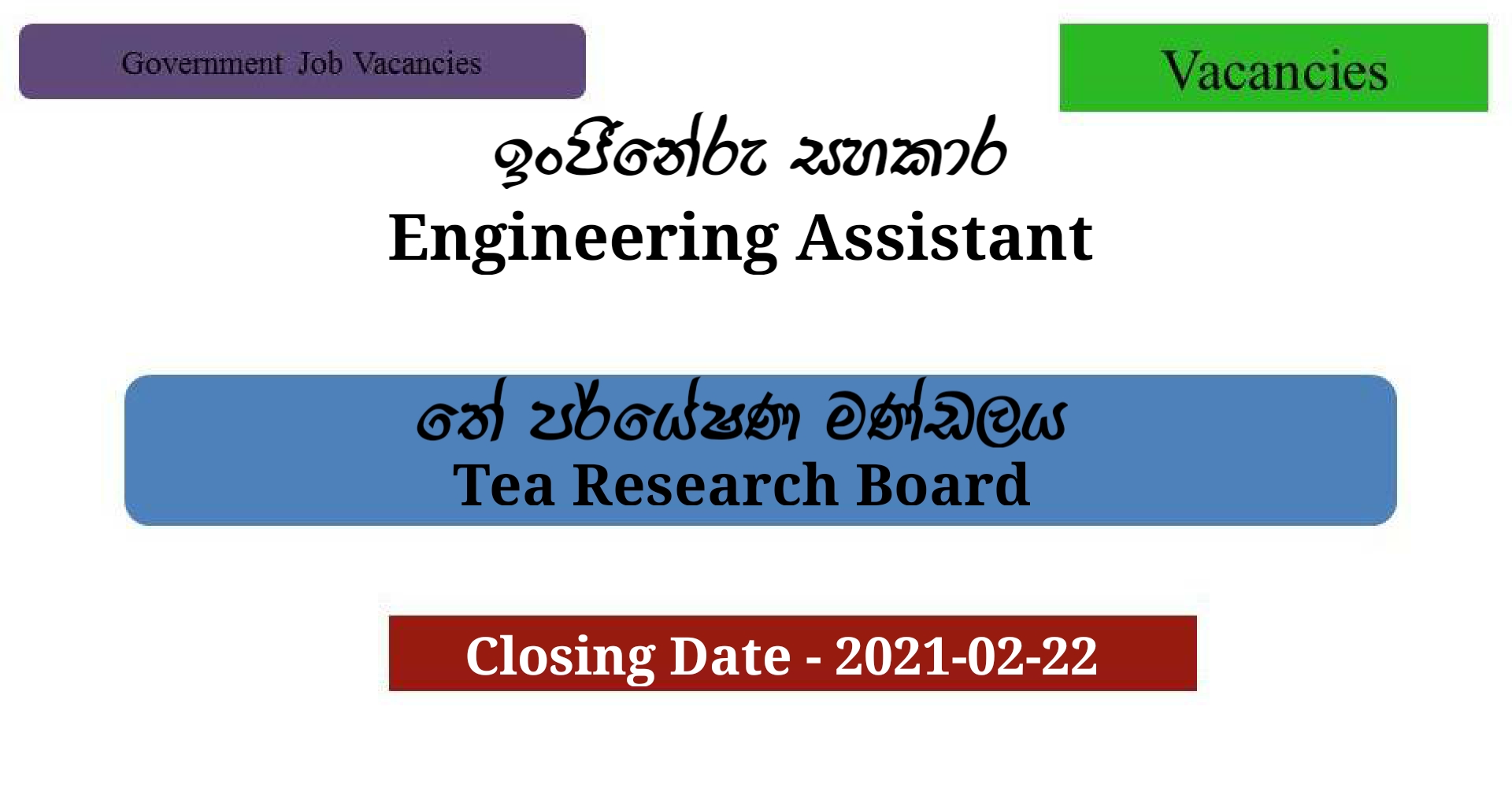 Engineering Assistant - Tea Research Board - SLDailyPlus
