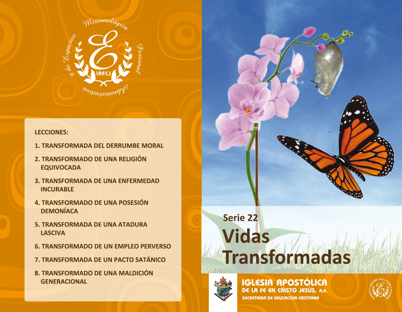 Blog SerCristiano: NUEVA SERIE: VIDAS TRANSFORMADAS