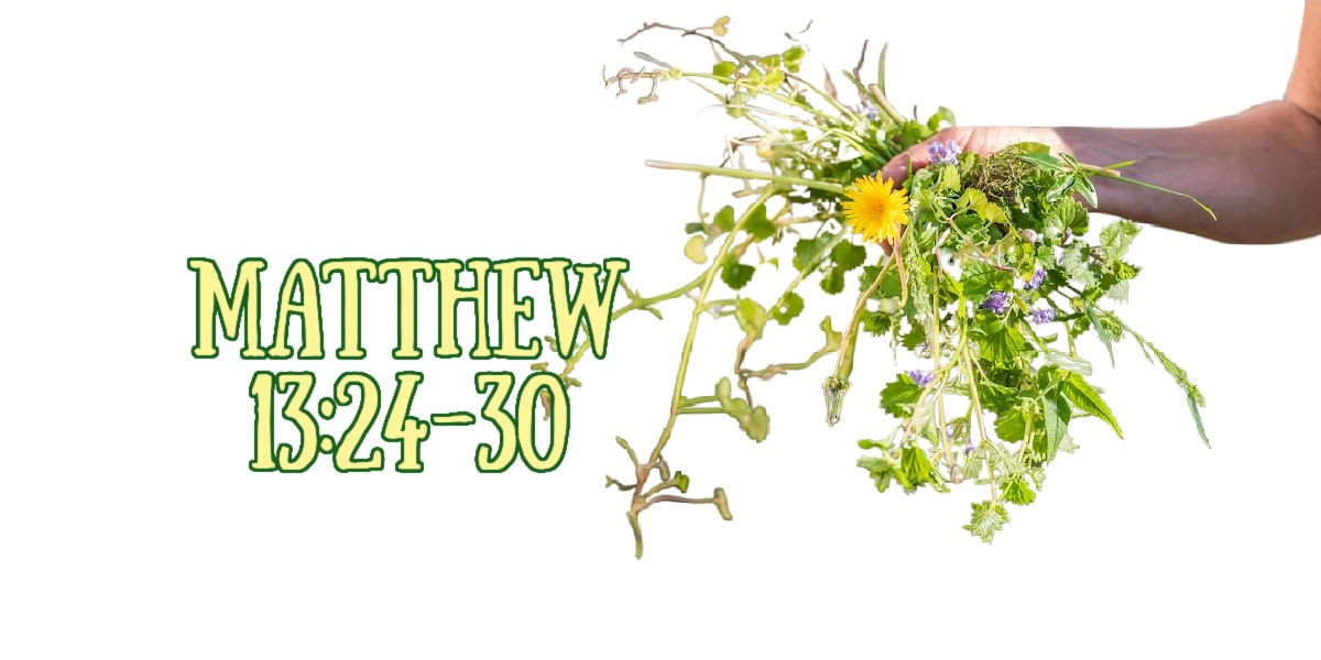 Bible Love Notes: Weeds in the Church
