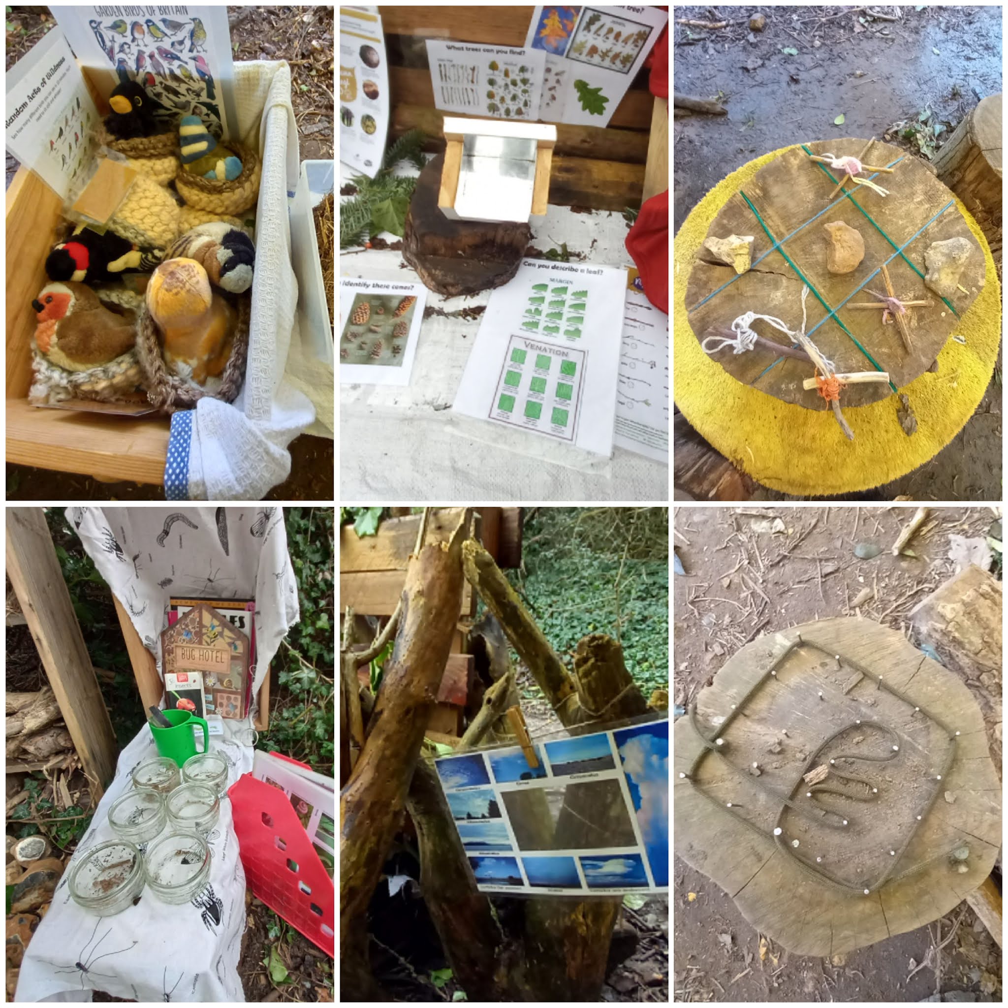 Forest School Set Up