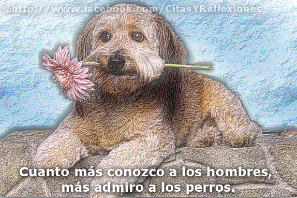 Citas y Reflexiones: Directo al corazón: Hombres y perros