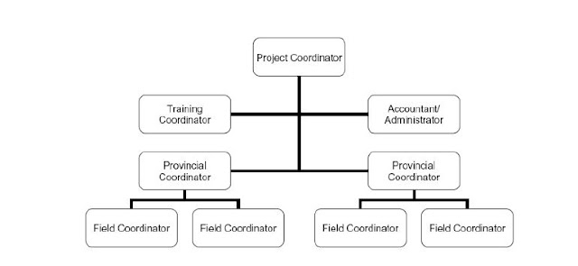 Project Management Organizational Structures