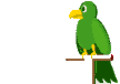 Animation Bundle: Animated Parrots Chirping About Parrot Gif and Parrot ...