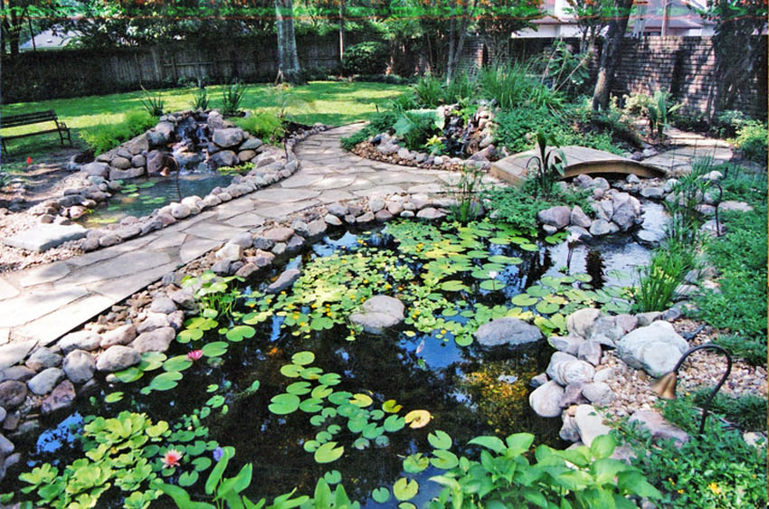 Aquascape Your Landscape: From Landscape to Waterscape
