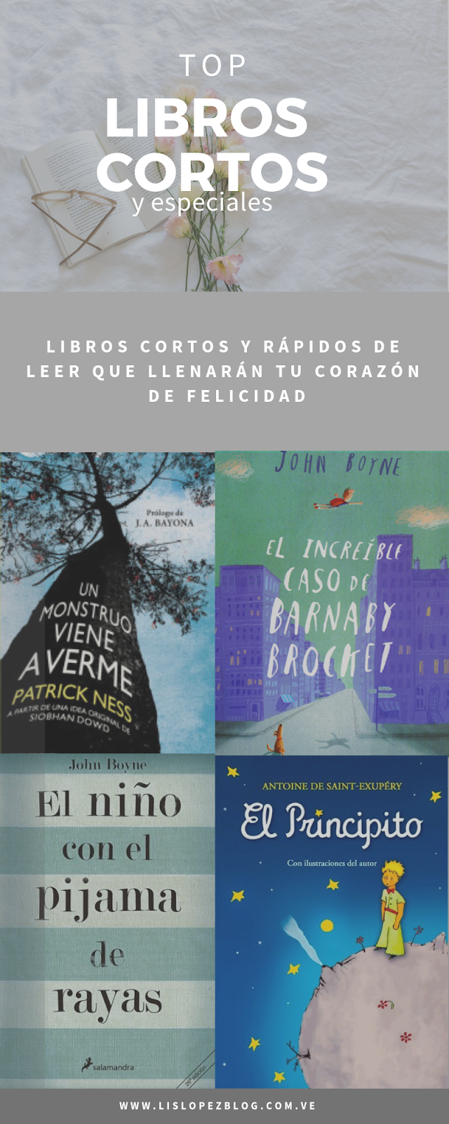 Mi top 5 de: Libros cortos y especiales - El blog de Lis López