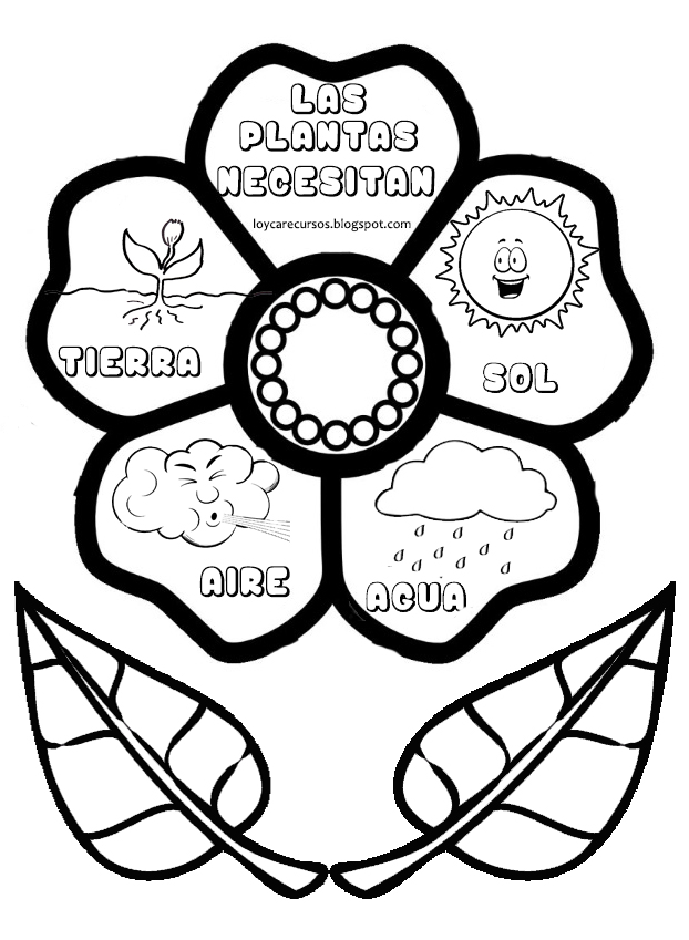RECURSOS DE EDUCACIÓN INFANTIL: ¿Qué necesitan las plantas para crecer?