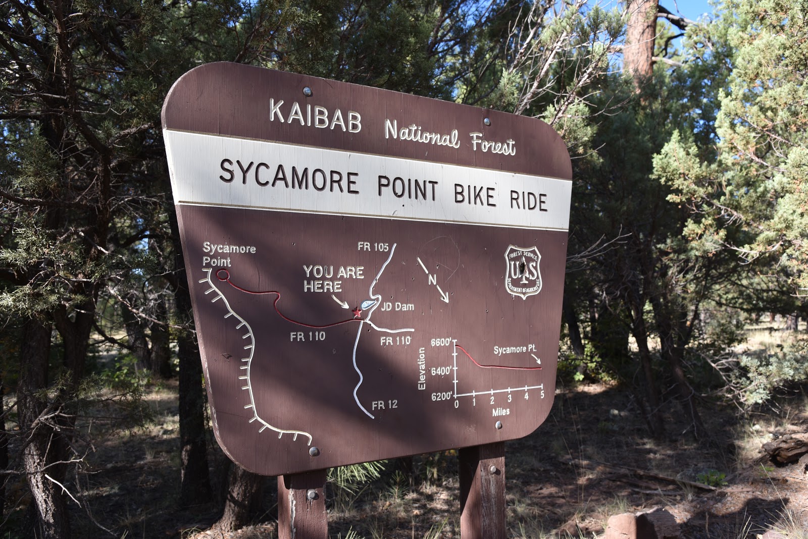 Arizona Hiking: SYCAMORE POINT TRAIL