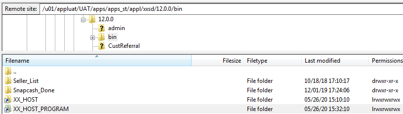 What is Host Program in Oracle