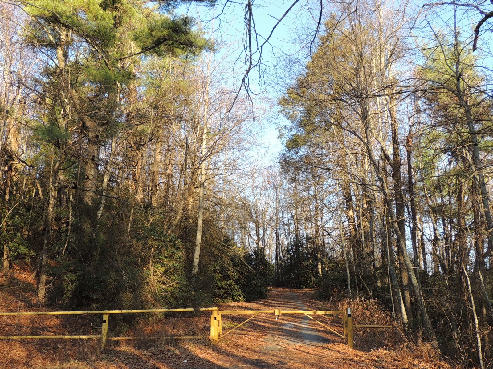 1000 Hikes in 1000 Days: Day 745: Highest Peak in South Carolina ...