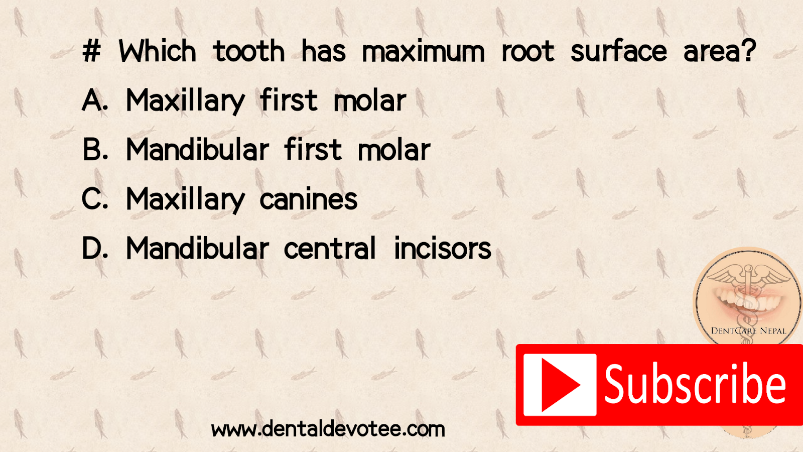 Dentosphere : World of Dentistry: Which tooth has maximum root surface ...