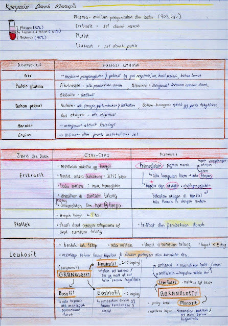 TINI: NOTA BIOLOGI (BAB 10) KSSM TINGKATAN 4 TERKINI
