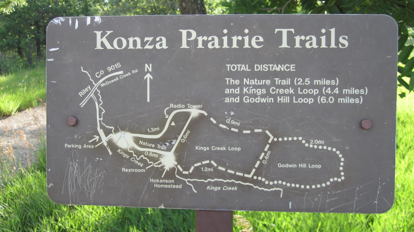 Innie Me: Konza Prairie Wildflowers