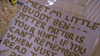 Throwback Thursday - Psych - An Evening With Mr. Yang