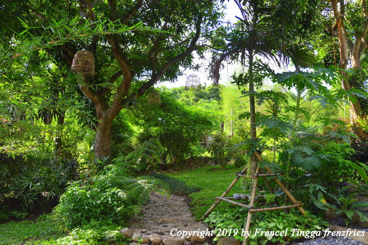 Frenz Fries: Maka Forest Villas, Alfonso