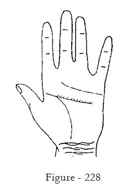 Palmistry | Upward Lines From Head Line ~ INDIAN PALMISTRY | PALM ...