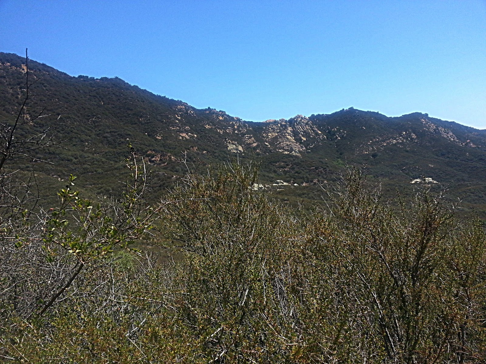 Trail Run LA: Santa Monica Mountains - The Backbone Trail is badass for ...