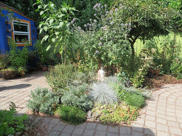 Purple Garden, White Garden