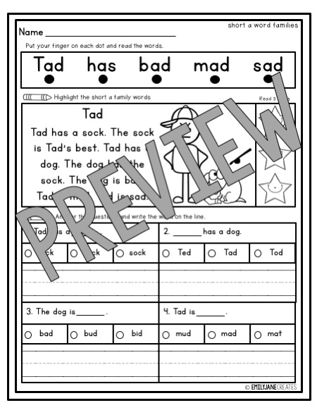 Emily Jane Creates: READING COMPREHENSION PASSAGES-CVC WORD FAMILY WORDS