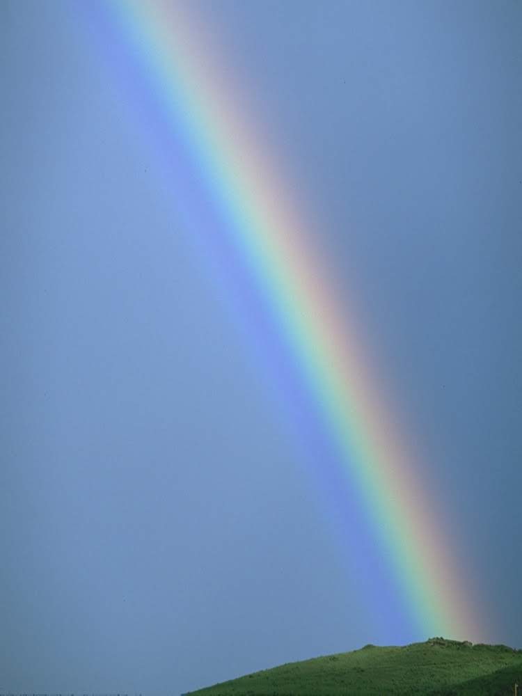 Sunrises, Sunsets, and Rainbows: Skyscapes, Part 2 | Cuttings from ...