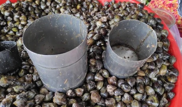 Anim Agro Technology: ETOK - APA DIA?