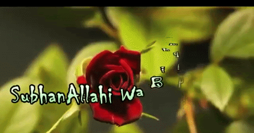 Only-Quran-Hadith: Azkar gif - SubhanAllahi wa biHamdihi, Subhan ...