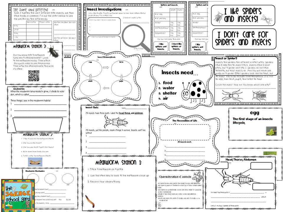 Hate To Bug You: Insect Lessons for Littles! - The Science School Yard