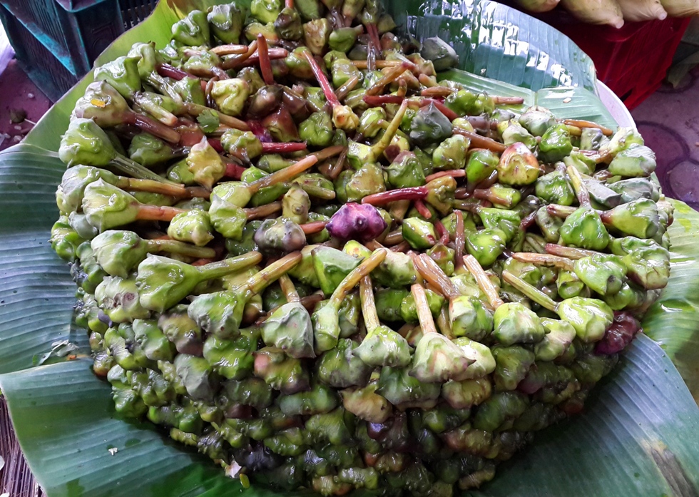 Mumbai Magic: Bazaar Treasures - Monsoon Special (2)