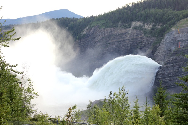 Wizard's Hangout: WAC Bennett Dam Spill & the Deer