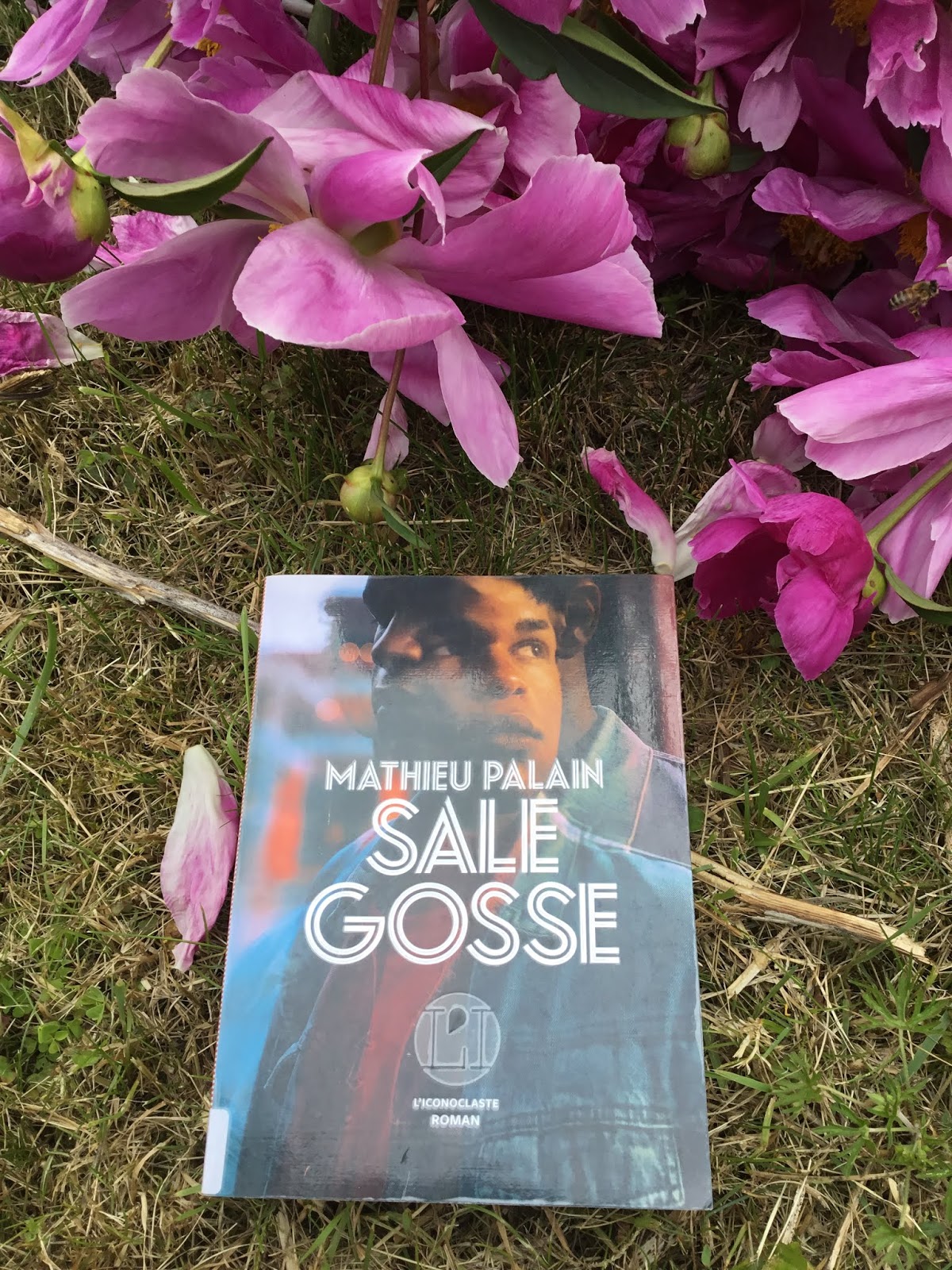 Sale gosse - Mathieu Palain