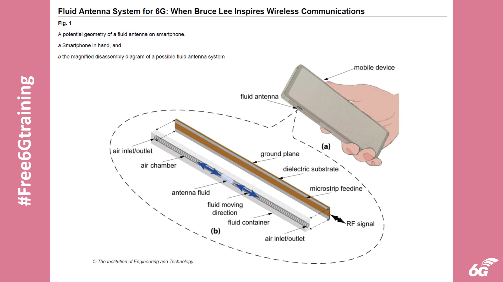 Bruce Lee Inspired Fluid Antenna System for 6G
