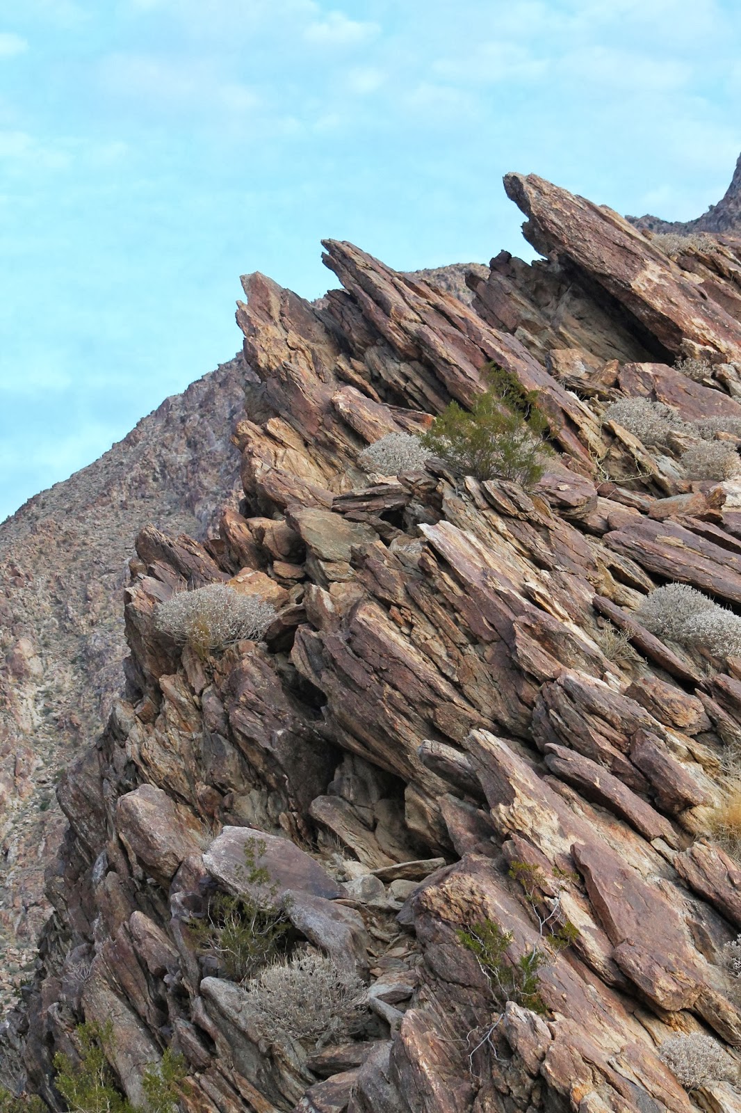 Ty and Ida On the Road: The Southern California Desert