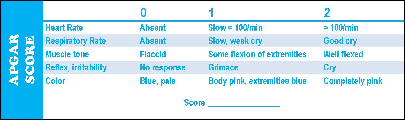 Paramedic Student Central: Scoring Charts