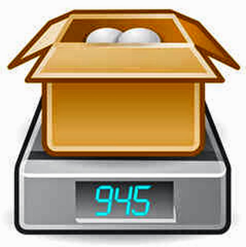 ¿CUÁLES SON LAS DIFERENCIAS ENTRE PESO LÍQUIDO, PESO NETO Y PESO BRUTO ...