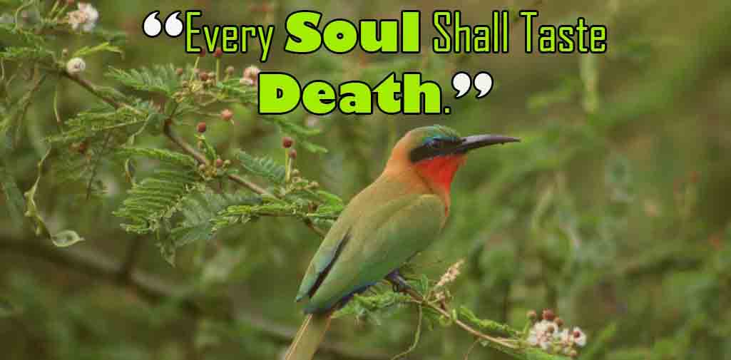 Quotes Of The Day quotes-of-the-day